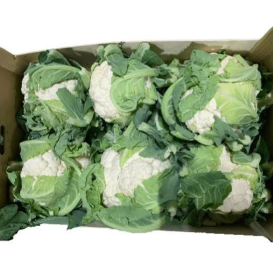 Cauliflower carton – The Prickly Pineapple