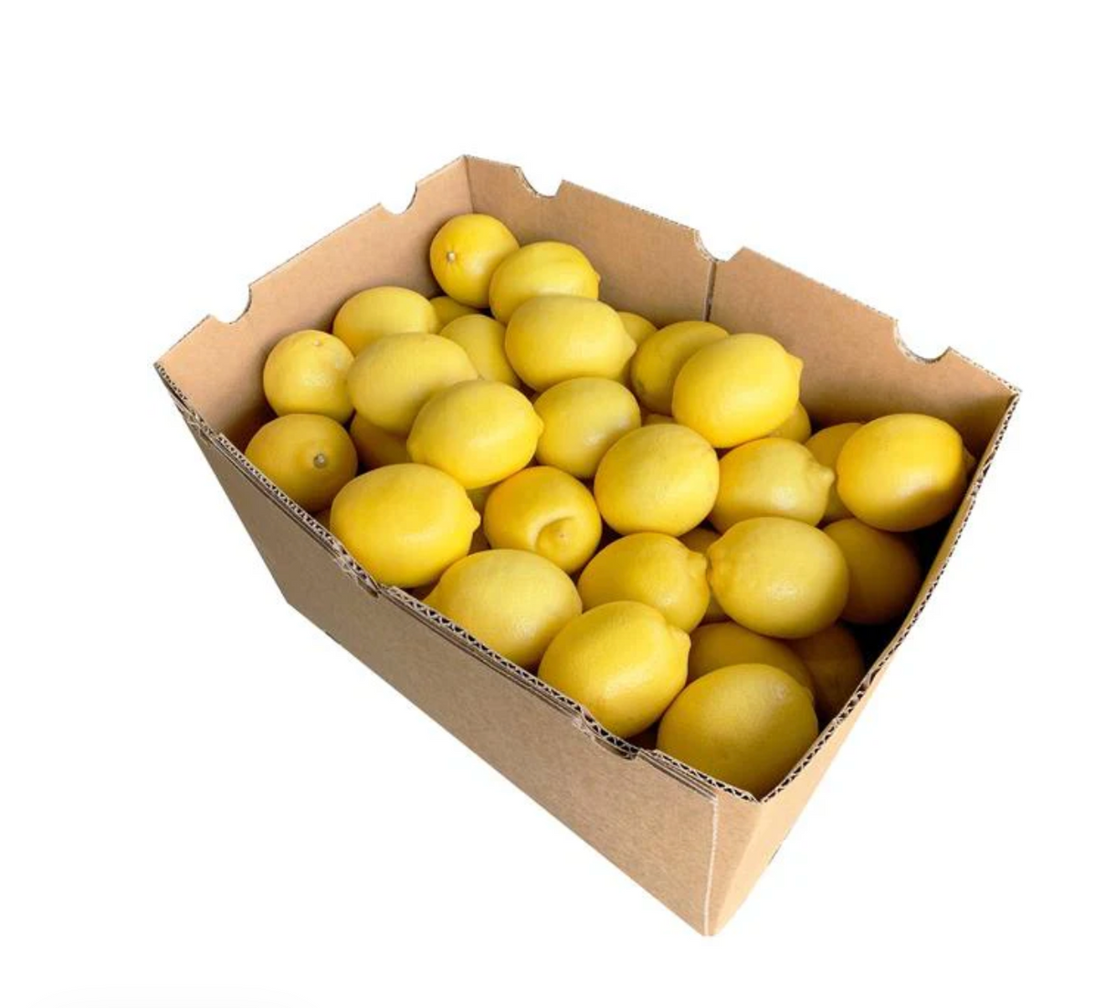 Lemons 15kg carton – The Prickly Pineapple