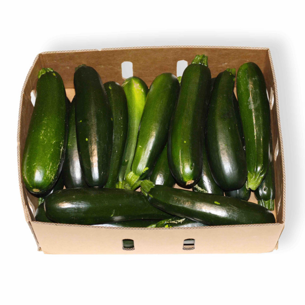 Zucchini 10kg carton – The Prickly Pineapple