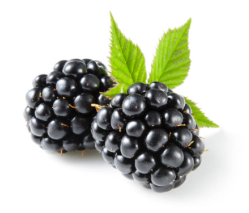 Blackberry punnet 125g – The Prickly Pineapple
